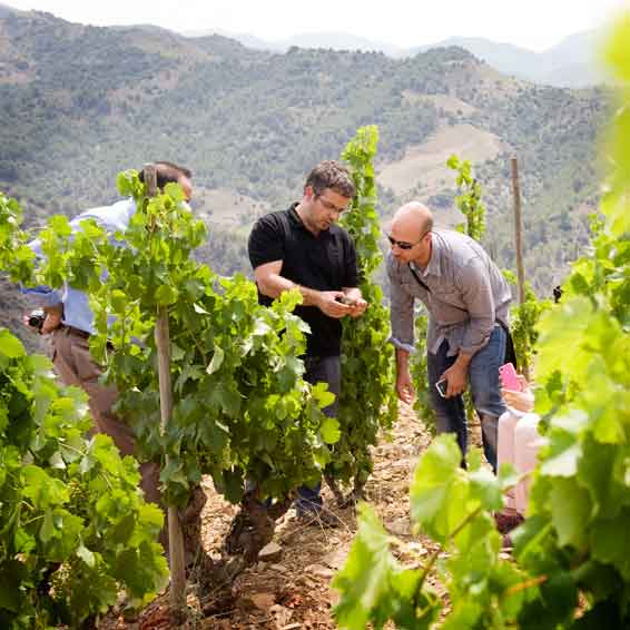 Bodegas Álvaro Palacios, una historia personal en el Priorat | Selectus ...